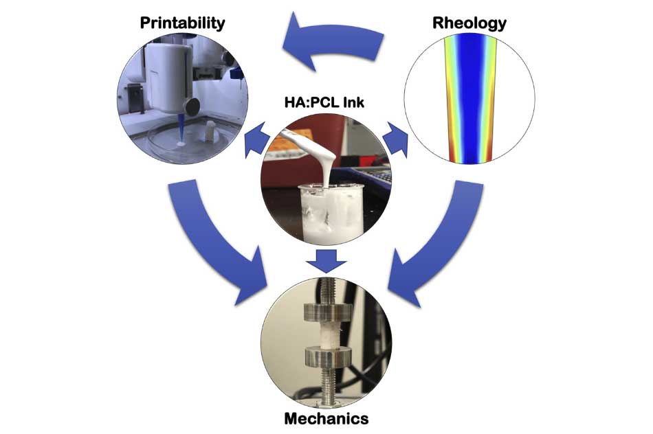 Bioink Release Testing & Functional Performance Services | Materials Metric